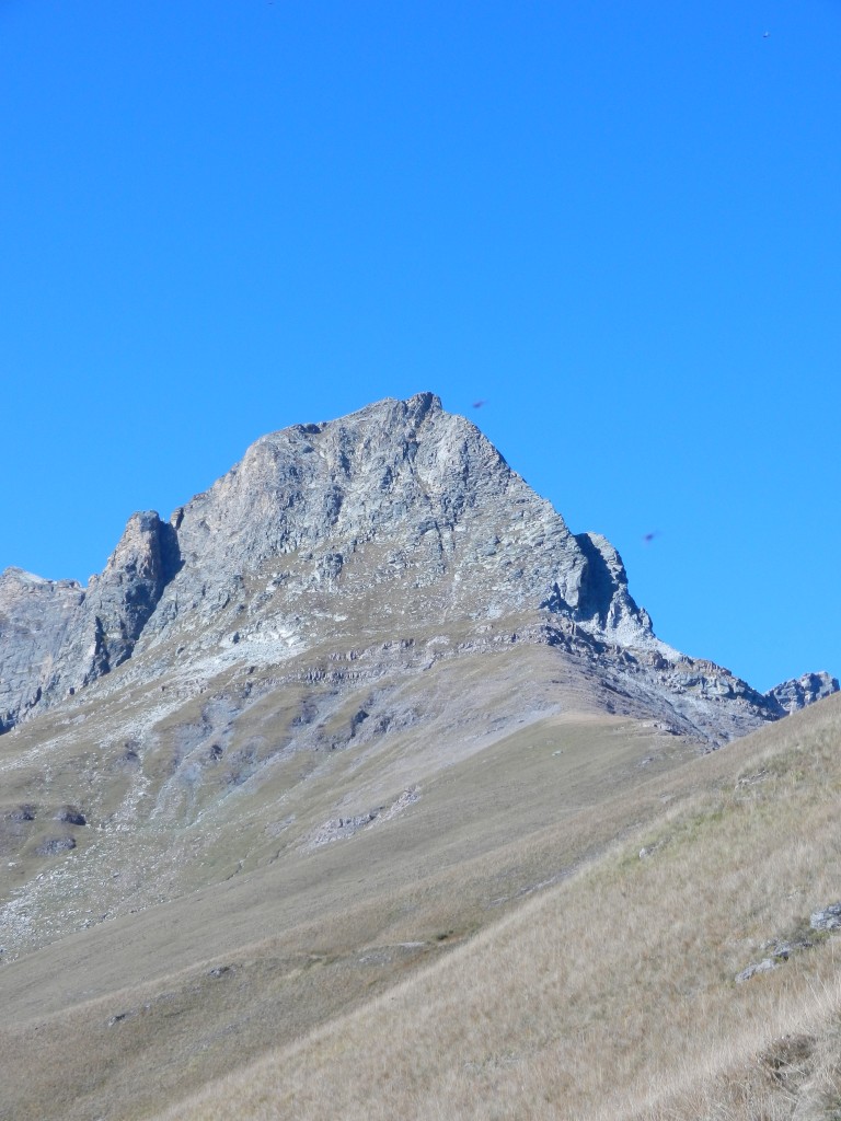 Pelvo d’Elva (Via Normale dal Lago Camoscere) - Compagnia della cima